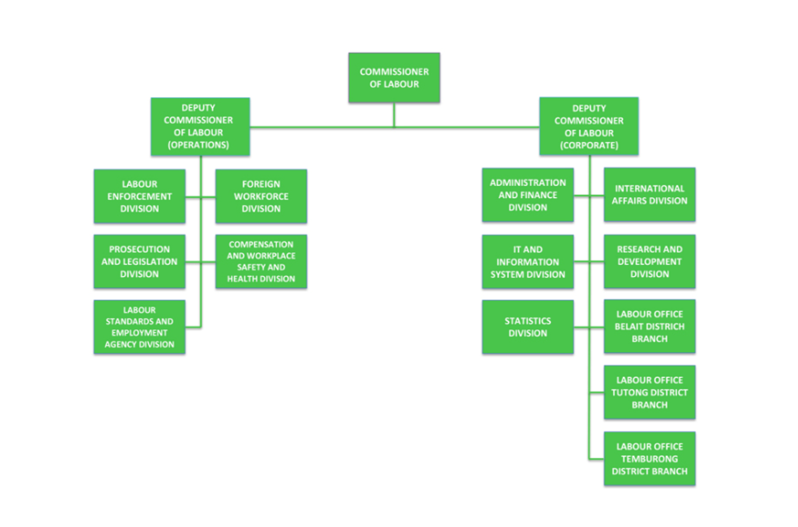 Organisation Structure - Thumbnails