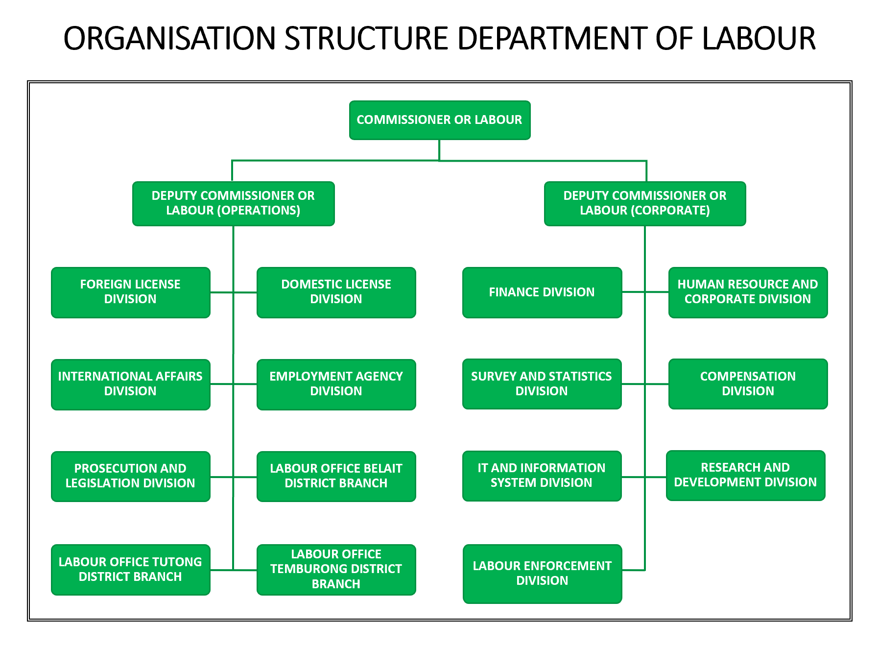 Organisation Structure - Thumbnails